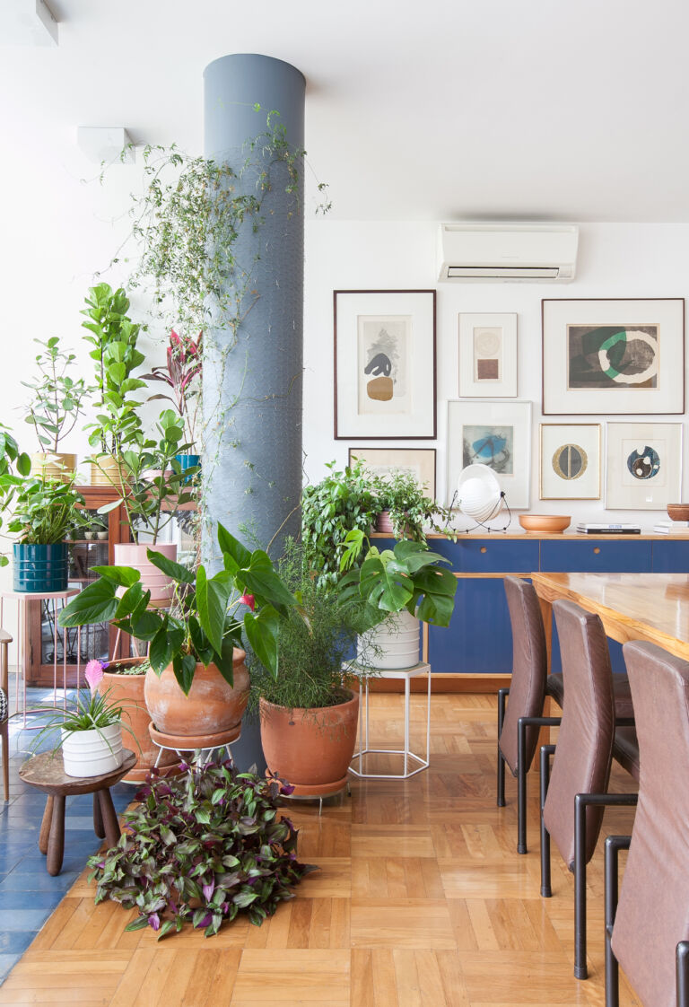 Arquivo para Jardim urbano | Histórias de Casa
